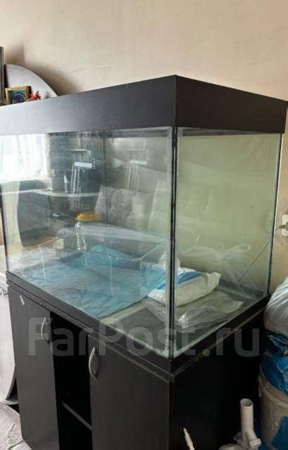 Продаётся аквариум, в наличии. Цена: 35 000₽ во Владивостоке