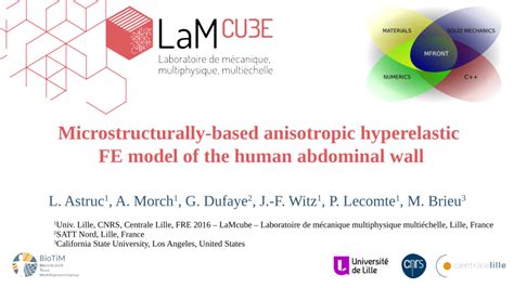 Pdf Microstructurally Based Anisotropic Hyperelastic Fe Model Of The Human Abdominal Wall