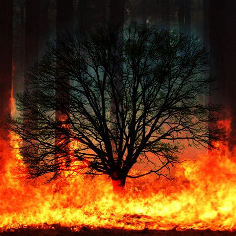 Stream Sex On Fire Cover By Fire Bad Tree Pretty Listen Online For Free On Soundcloud