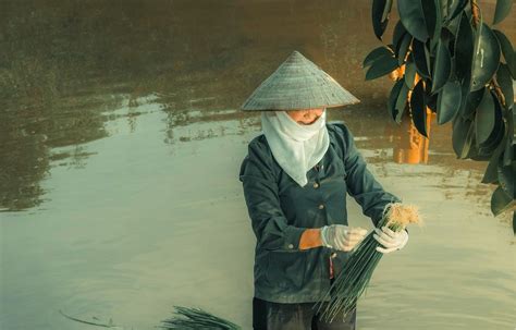 Build Your Own 2d Barcode Decoder With Pythonqr Codedata Matrix By Josephood7 Medium