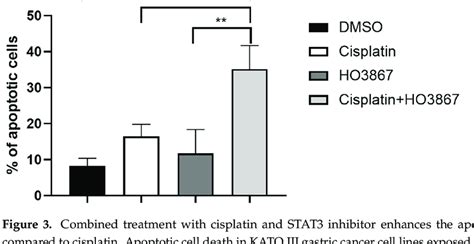Combined Treatment With Cisplatin And Stat3 Inhibitor Enhances The