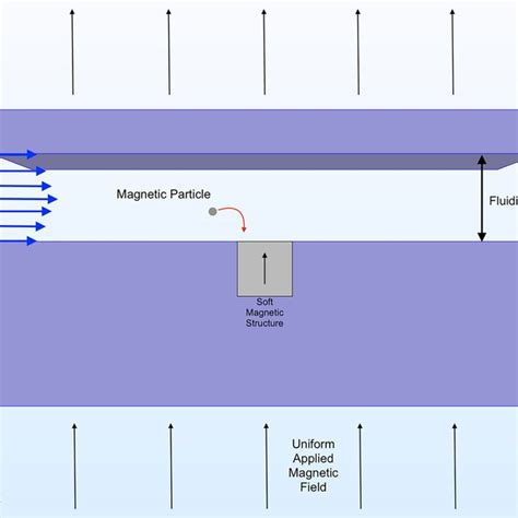 The Trajectory Of Spherical Magnetic Beads Released From Different Download Scientific Diagram