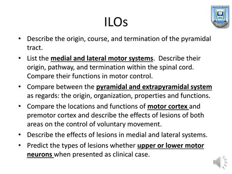 Solution Cortical And Brain Stem Control Of Motor Function Studypool