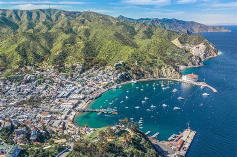 Catalina Island Your Essential Guide To Southern Californias
