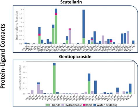 During 100 Ns Md Simulation Endothlien 1 Interacts With The Compounds Download Scientific