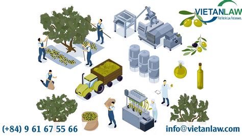 Set Up A Company In Vietnam In Vegetable Oil Processing Viet An Law