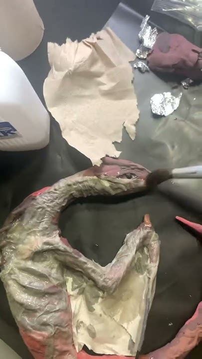 Народження паперовий пва пластилін ліплення дракон хендмейд декор фентезі Youtube