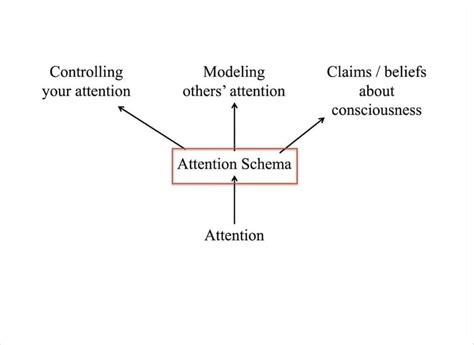 attention schema theory ast by michael graziano [mesec winterschool 2023]