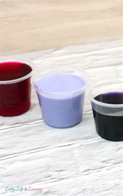 Red Cabbage Ph Indicator Experiment Acids And Bases Activity