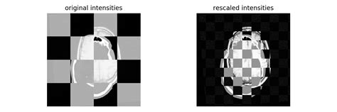 QuPath Adjust Opacity Of Image Channels Usage Issues Image Sc Forum