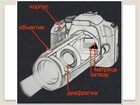 Фотография. Фотокамеры - презентация онлайн
