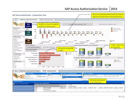 Sap Access Authorization Solution Docx Computer Software And
