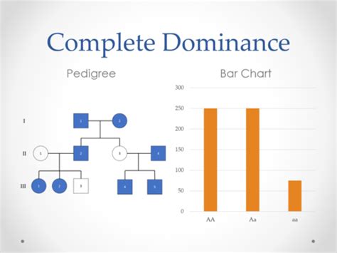 Lecture 4 Inheritance Patterns Flashcards Quizlet