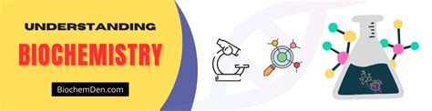 Understanding Biochemistry A Comprehensive Guide In 2023