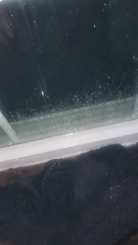 Gutters Overflowing Into House Album On Imgur