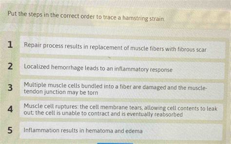 solved put the steps in the correct order to trace a hamstring strain