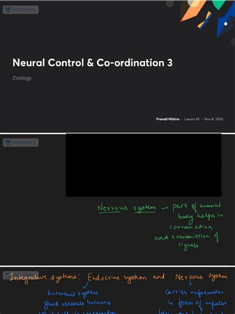 Neural Control Coordination 3 No Anno Pdf