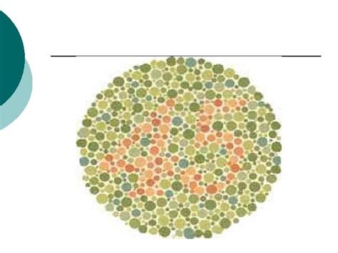 Human Genetics Karyotyping Process In Which Cells Undergoing