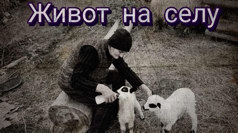 Живот на селу Један дан живота на селу Youtube