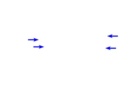 Tooth Development 6 Digital Histology
