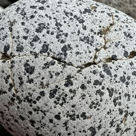 A Typical Granite Or Diorite Formation Common In Natural Stone Stock