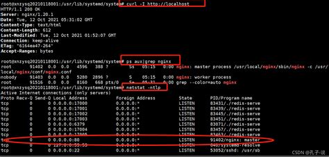 Linux下java Web服务器的搭建三（nginx）nginx部署javaweb项目 Csdn博客