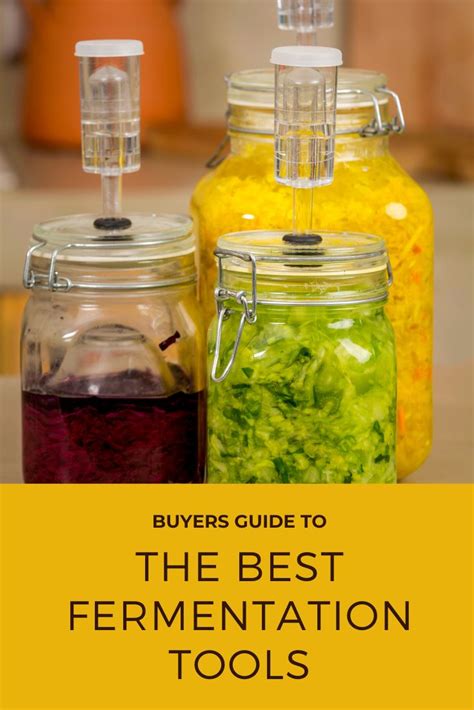 Buyers Guide To The Best Fermentation Tools