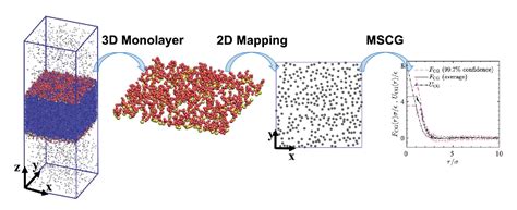 Figure 6 From Gas Liquid Phase Equilibrium Of A Model Langmuir Monolayer Captured By A