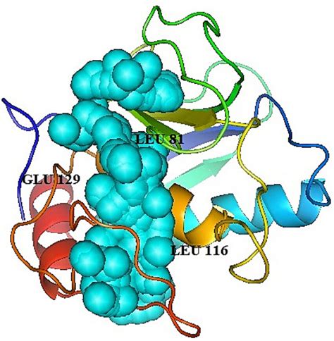 Prediction Of Mmp2 Functional Residues As Evidenced The Functional
