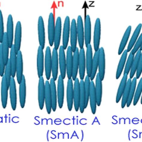 Schematic Of Different Nematic Liquid Crystal A Nematic Liquid Crystal