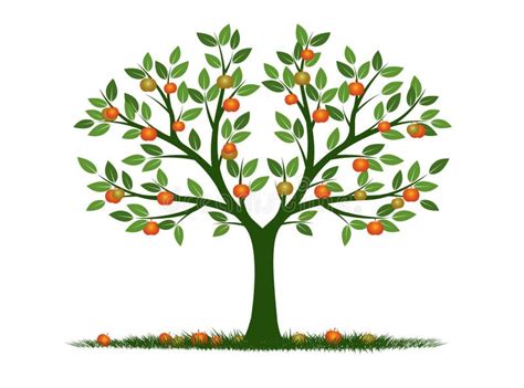 Shape Of Tree With Leaves And Fruits Vector Outline Illustration Stock Vector Illustration Of