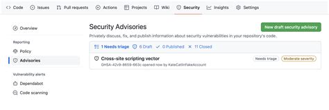 Privately Report Vulnerabilities To Repository Maintainers The Github