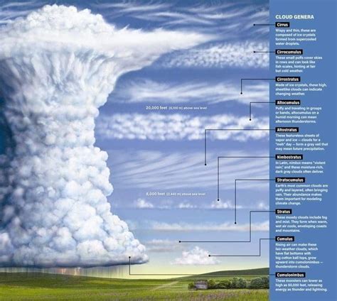 Types Of Clouds Erdkunde Naturkunde Naturwissenschaft