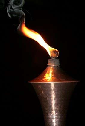 What Is TORCH Testing The Pregnancy Lab