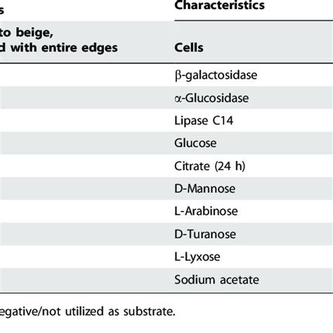 Morphological And Physio Biochemical Characteristics Of Ochrobactrum