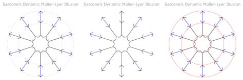 Gianni Sarcone On Linkedin Even Bounded My Dynamic Müller Lyer