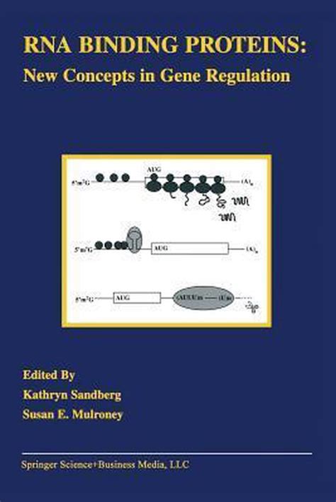 Rna Binding Proteins 9781441949356 Kathryn Sandberg Boeken Bol