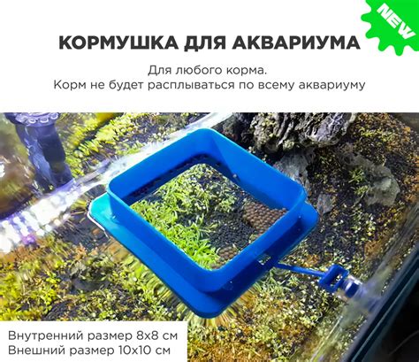 SHANDA Кормушка для рыб плавающая, квадратная (8x8см) - купить с ...