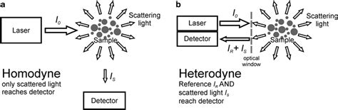 Principle Of Homodyne And Heterodyne Dls Systems Download Scientific Diagram