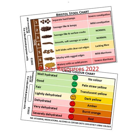 Bristol Stool And Urine Colour Charts ID Badge Flash Card Nurse Student