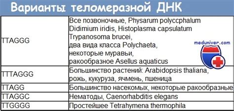 Теломераза как признак рака