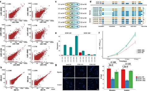 Taget Gives Accurate Gene Expression Quantification And Identifies Ecm1