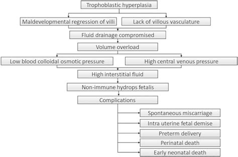 Flowchart Showing Possible Pathogenesis Of Iufd In Partial Mole With