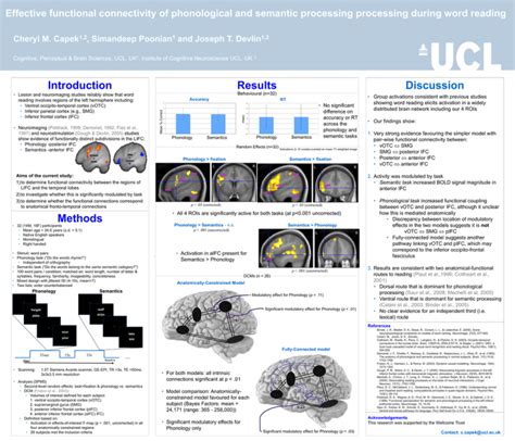Word Reading Phonological And Semantic Connectivity