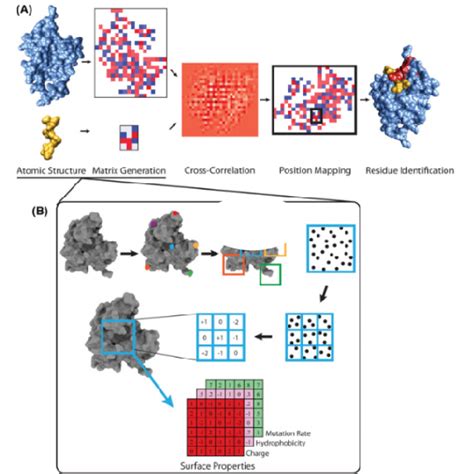 Implementation Of The Future Of Drug Discovery Quantumbased Machine Learning Simulation Qmls