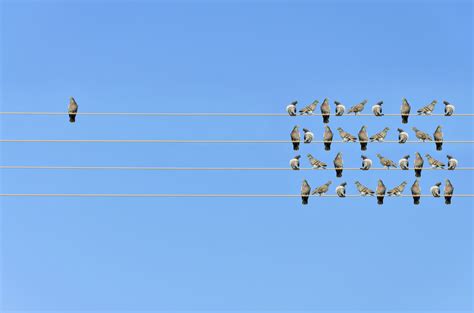 The Difference Between Cybersecurity Engineer And Cybersecurity Professional Cyware Alerts