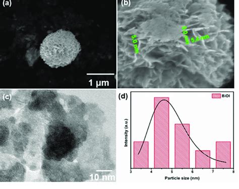 SEM A B And TEM C Images And Distribution Of Particle Size D Of Download Scientific