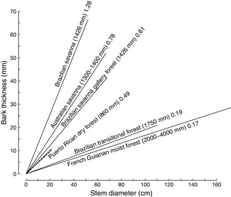 The Relationship Between Bark Thickness And Stem Diameter At The Download Scientific Diagram