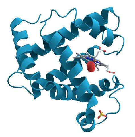 The Rmsd Of Predicted Structure From Its Native Is 103 ˚ A Pdb Id1if4 Download Scientific