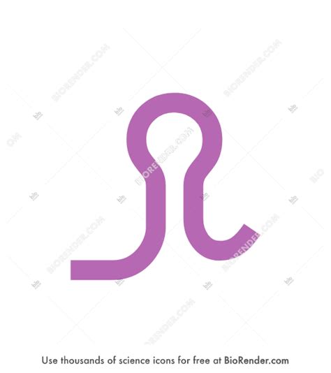 Free Sgrna Simple Icons Symbols And Images Biorender